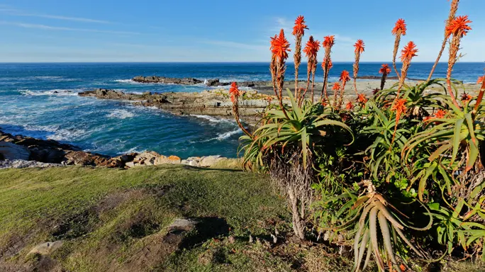 South Africa’s Garden Route crowned best road trip on earth