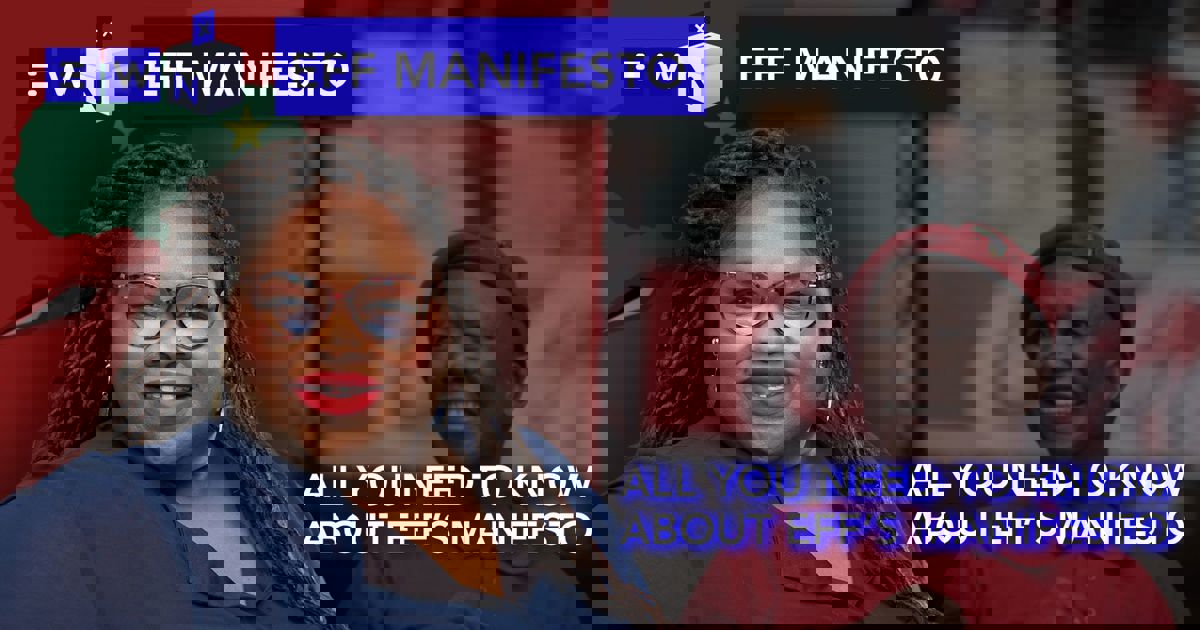 WATCH: What you need to know about the EFF's manifesto