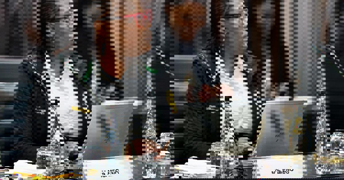 JSC official helped Mengo draft her complaint against Mbenenge ...