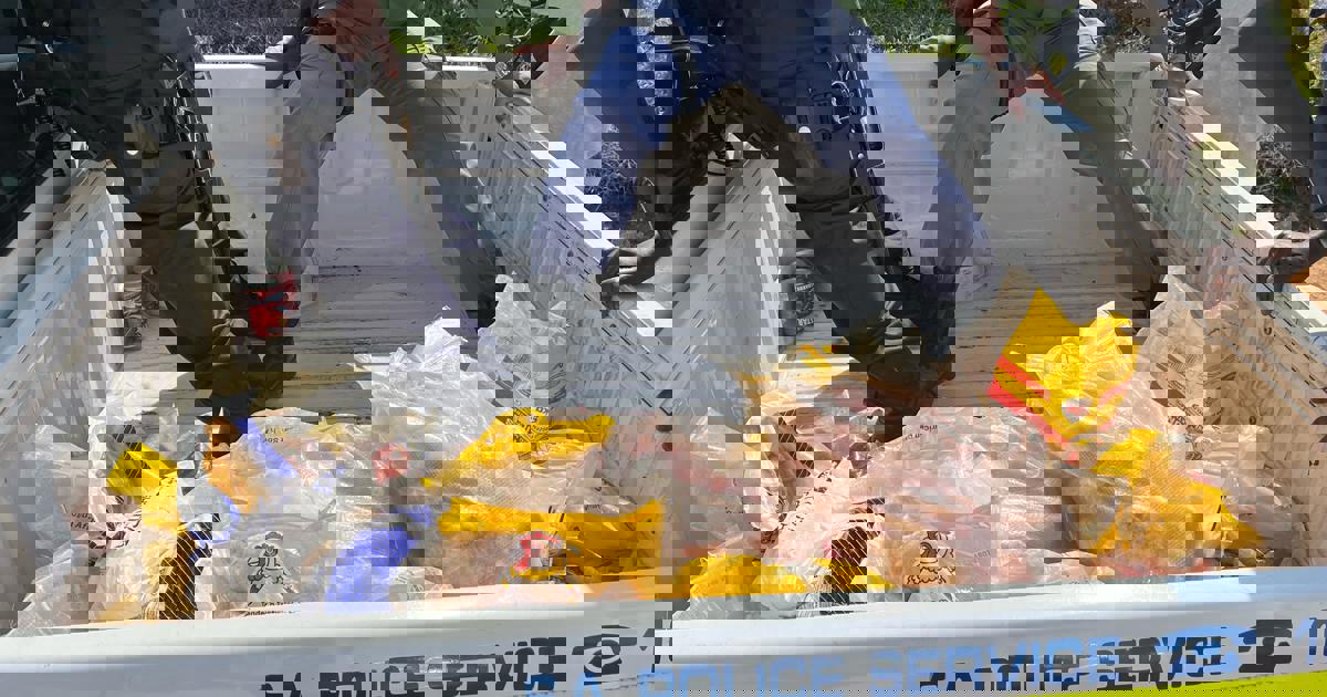 Police raid Diepkloof hostel in Soweto in search of looted goods