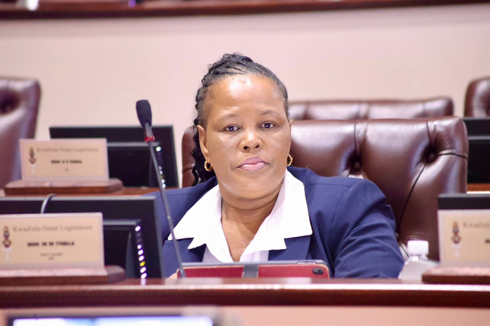 NFP suspends KZN chair Shinga over no-confidence vote defiance