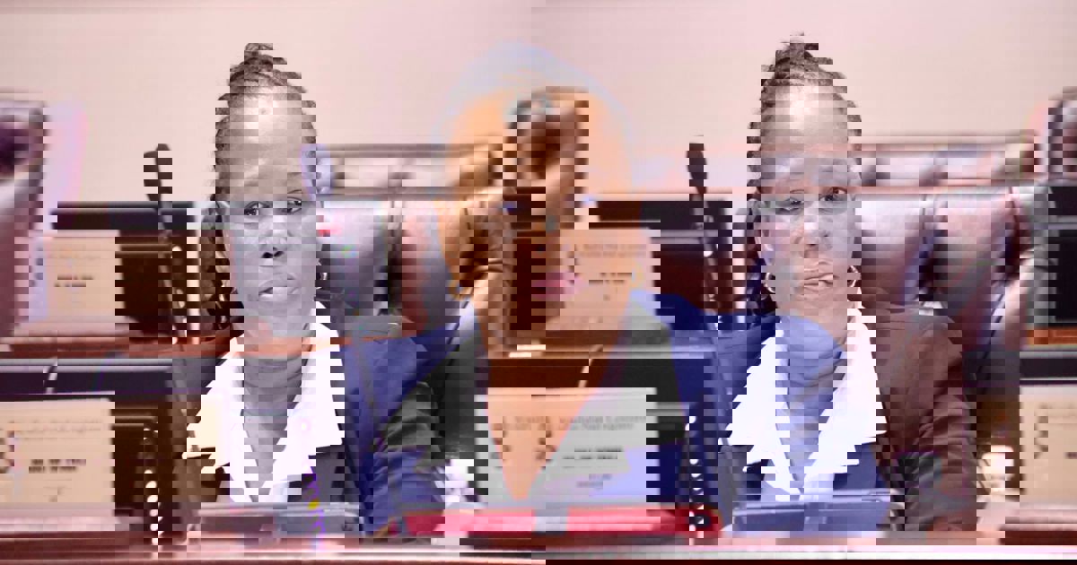 Despite NFP expressing dissatisfaction with GPU in KZN, MEC Shinga says coalition govt doing well