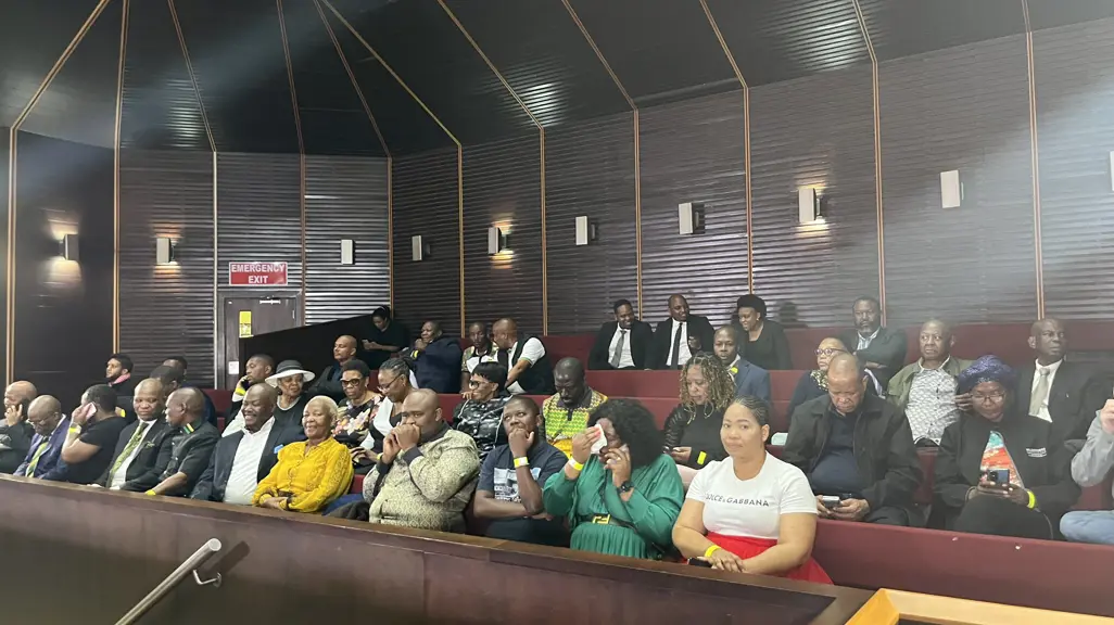 Luthuli inquest: Outpatient says Luthuli did not have bruises or blood ...