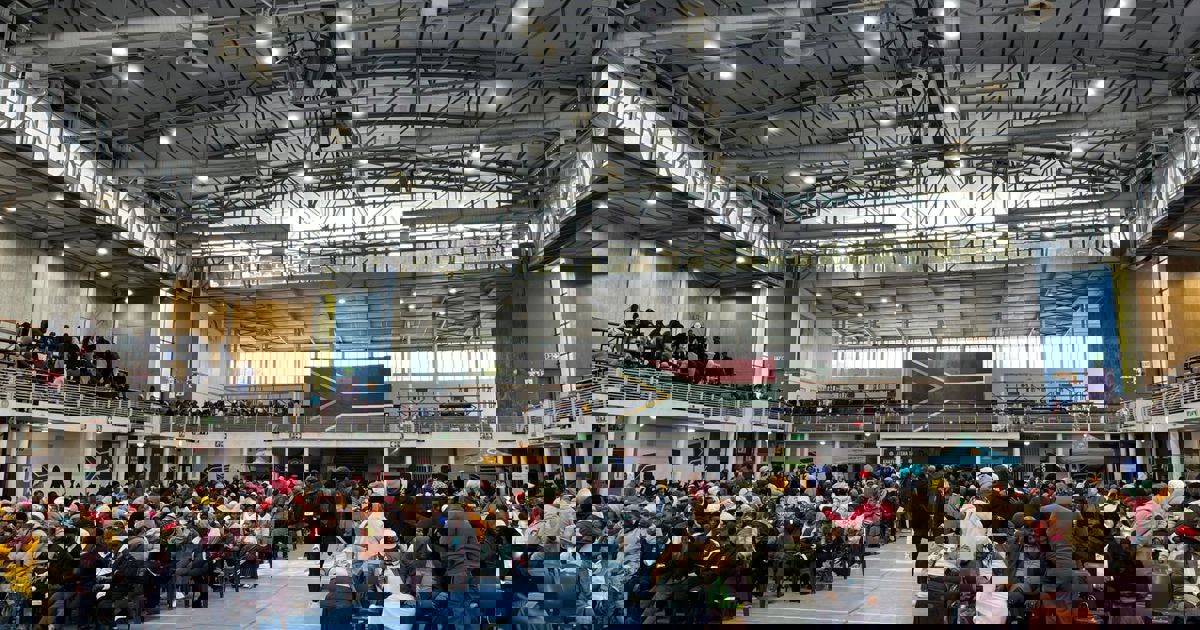 Tolashe apologises to social grant beneficiaries for delayed payments ...