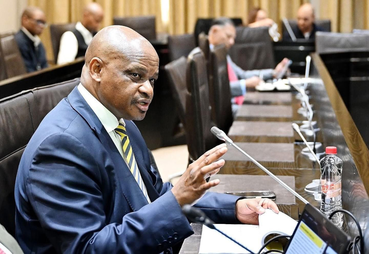 Parliament's justice committee welcomes Mothibi's appointment as new ...
