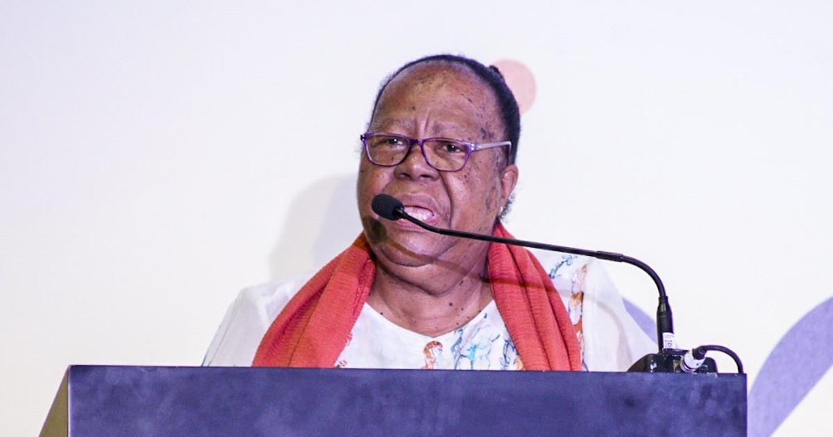 Pandor urges global community to back measures for two-state solution ...