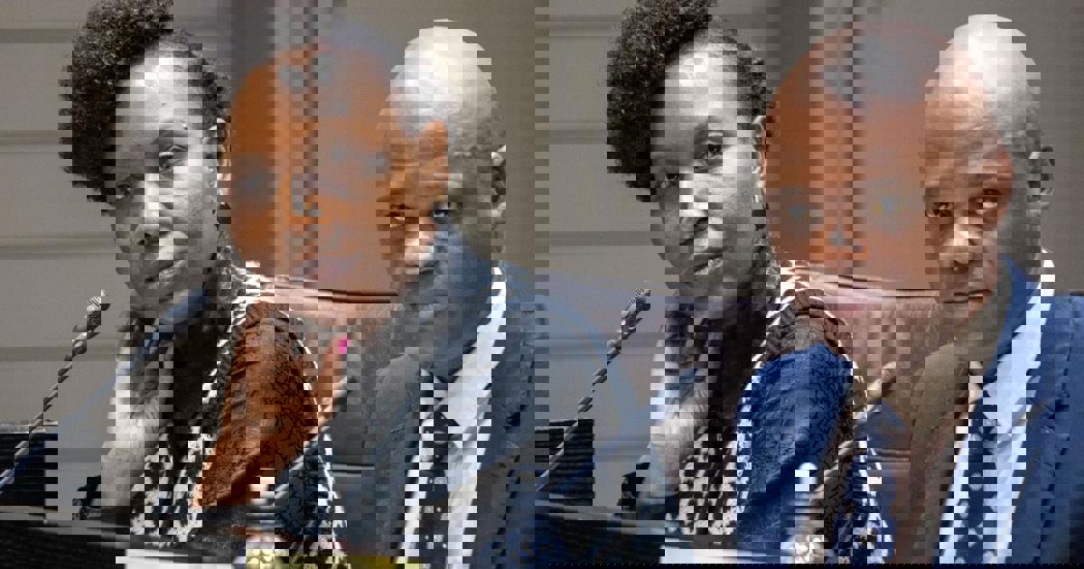 Ex-RAF CEO Letsoalo rejected services of GCIS as too expensive, SCOPA hears