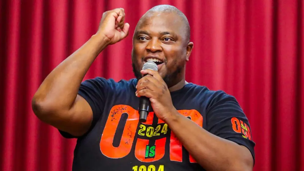 KZN EFF chairperson Twala to spend another night behind bars after ...