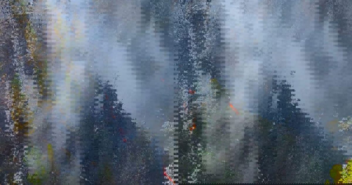 Firefighters still battling to contain Garden Route fire