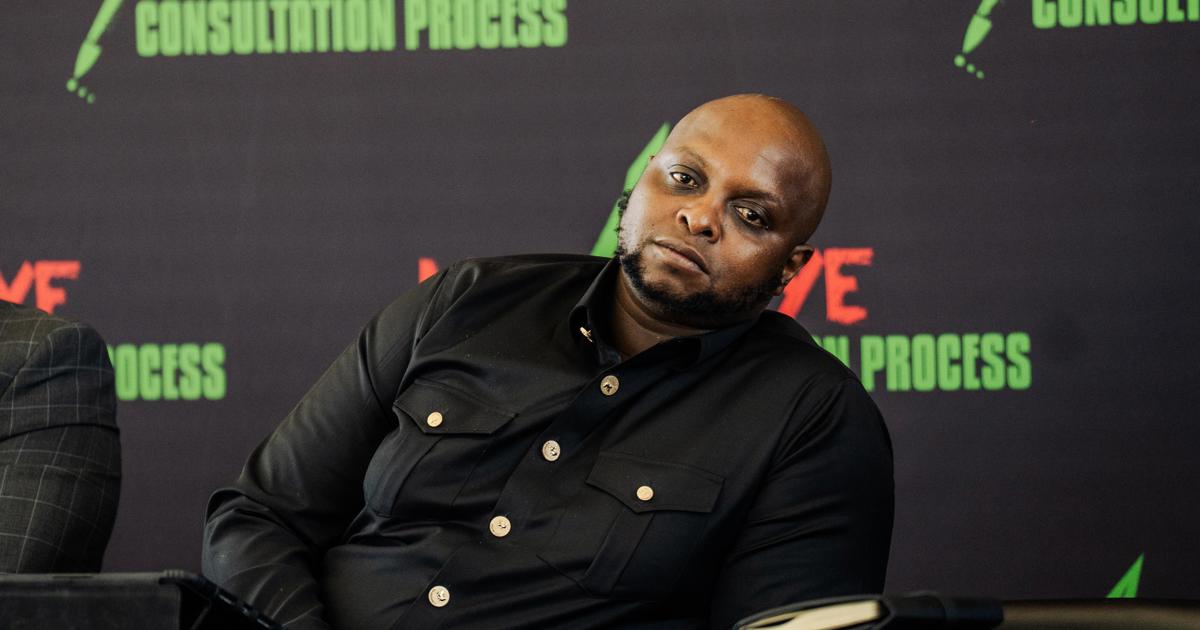 Shivambu withdraws 'drug and alcohol abuse' comments about MK Party's ...