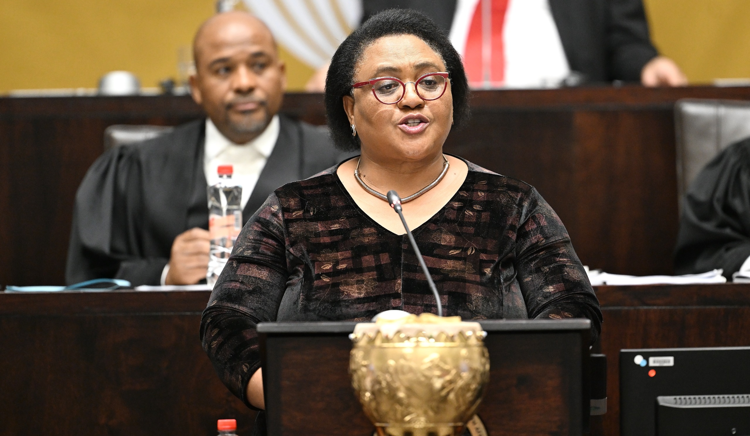 Godongwana expects full operations to continue at GPAA after CEO placed ...