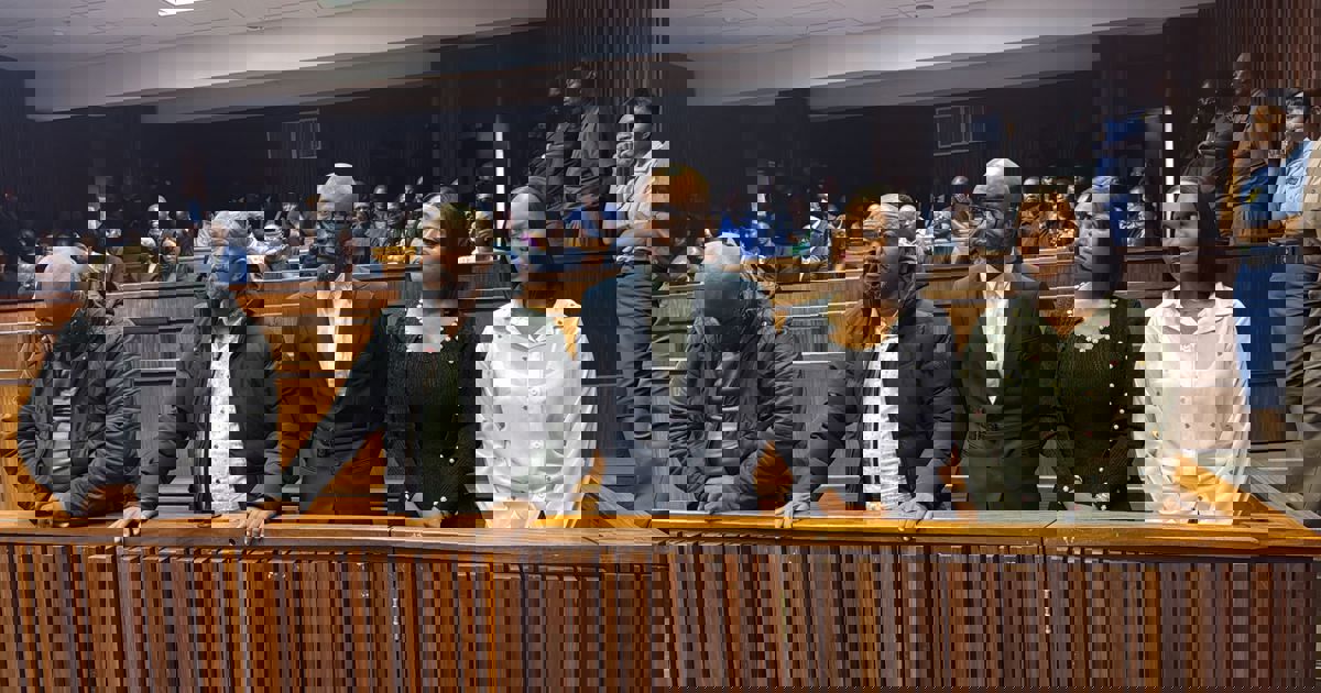 High Court advises Vusimuzi 'Cat' Matlala to launch urgent bid for ...