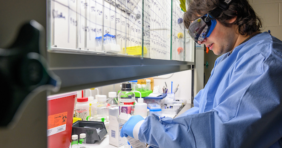 Gauteng Health Dept rolls out HPV single-dose vaccination