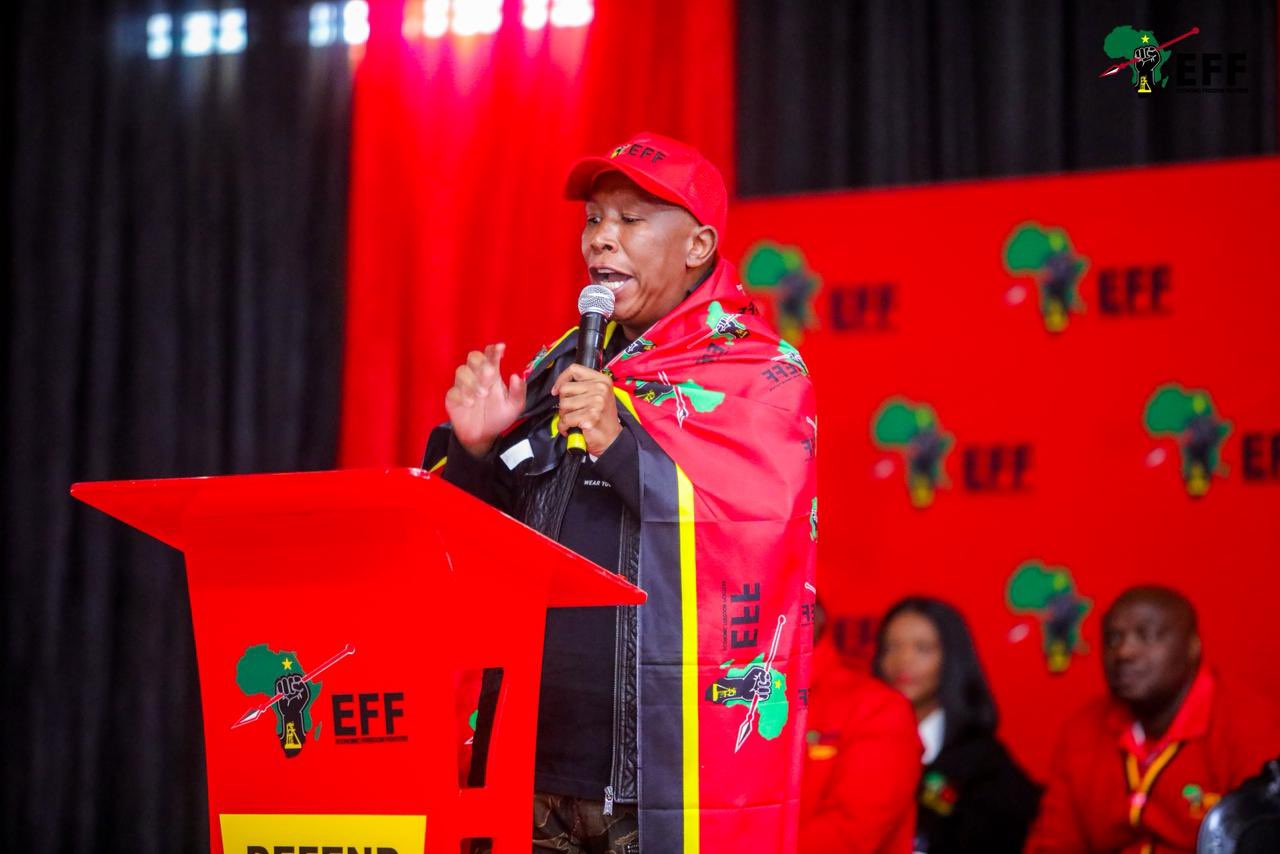 Malema: 'When you don't support your child, you are creating a criminal ...