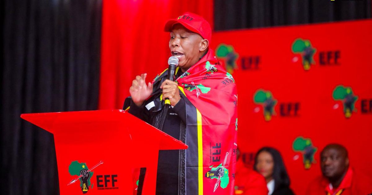 Malema: 'When you don't support your child, you are creating a criminal ...