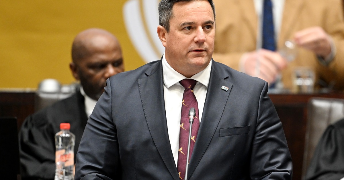 Formation of GNU signifies strength of SA’s democracy, says Steenhuisen