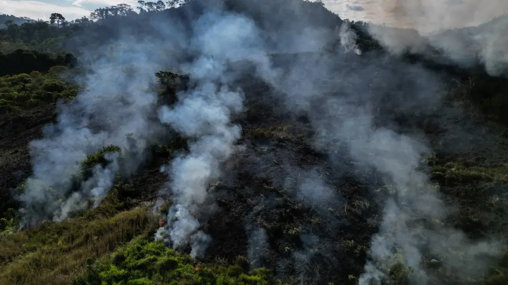 Who is setting fire to the Amazon?