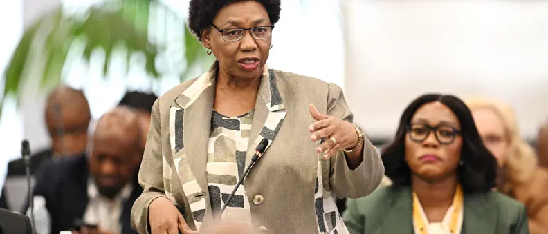 [WATCH] The Madlanga Commission: Meet the legal and investigative team